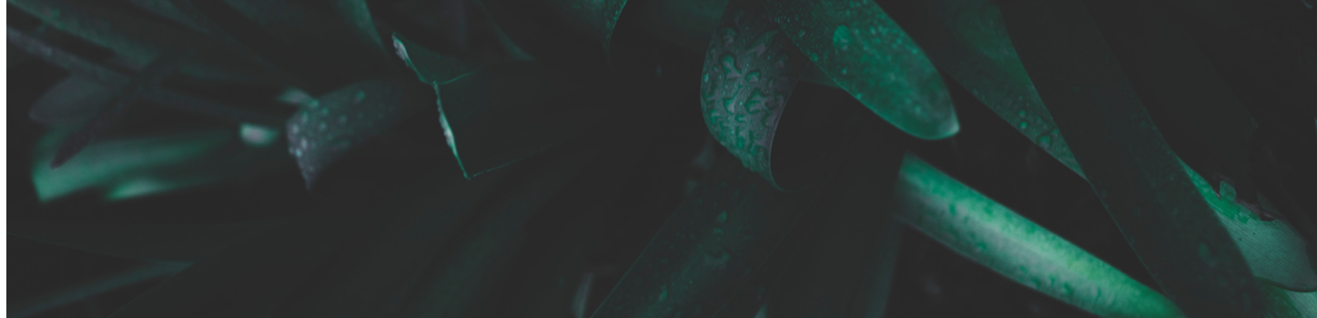 All – Intelligent Nutrients™